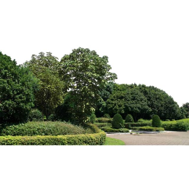 H1041 – sozaiya.com