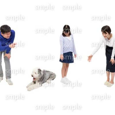 II_491 – sozaiya.com