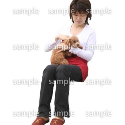 I_313 – sozaiya.com