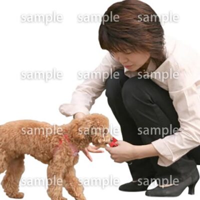 I_334 – sozaiya.com