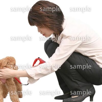 I_335 – sozaiya.com