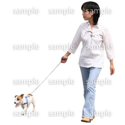 I_337 – sozaiya.com