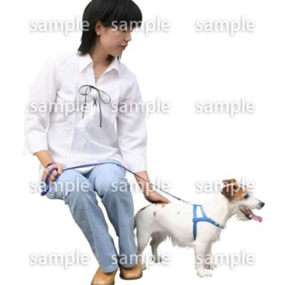 I_347 – sozaiya.com