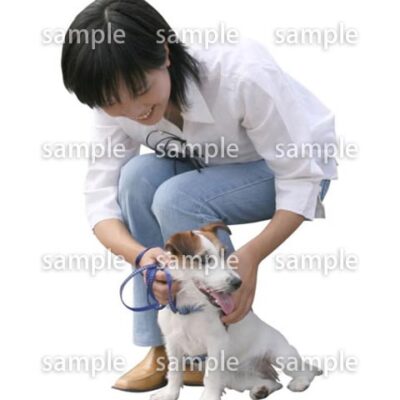 I_349 – sozaiya.com