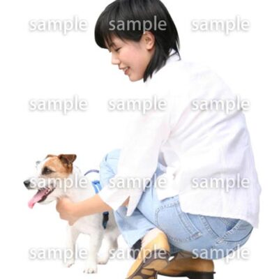 I_353 – sozaiya.com