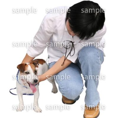 I_355 – sozaiya.com