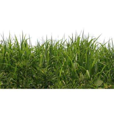 JZ_014 – sozaiya.com