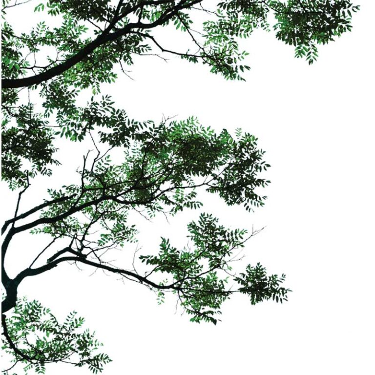 樹木片 – sozaiya.com