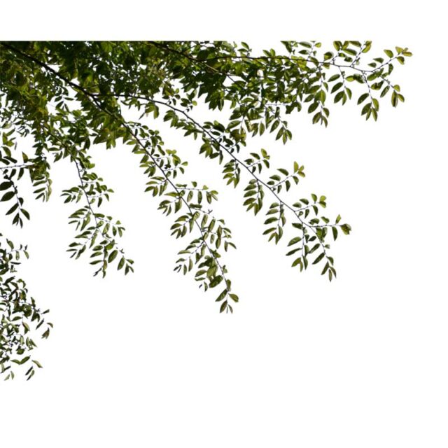 無料データ – ページ 3 – sozaiya.com