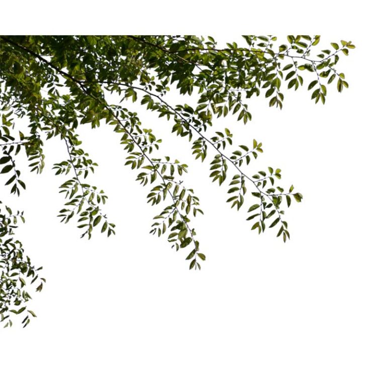 無料データ – ページ 3 – sozaiya.com