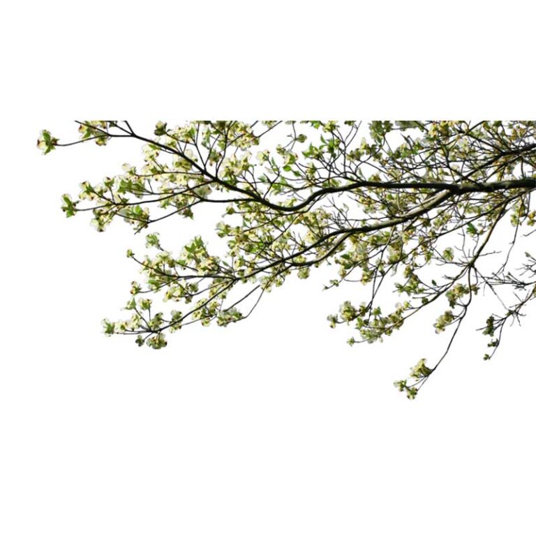 無料データ – ページ 3 – sozaiya.com