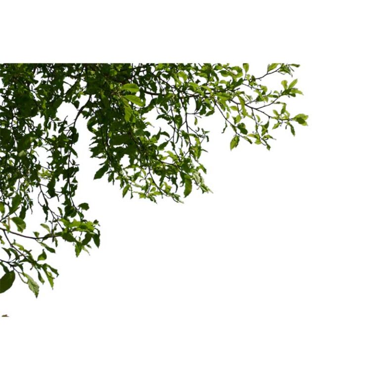 無料データ – ページ 3 – sozaiya.com