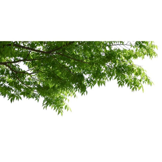 JZ_044 – sozaiya.com