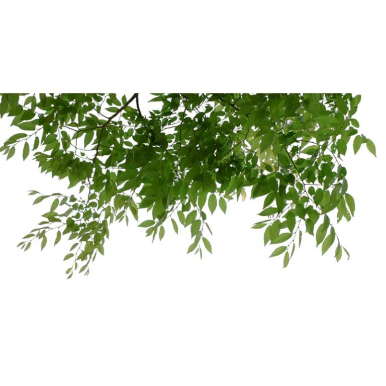 無料データ – ページ 3 – sozaiya.com