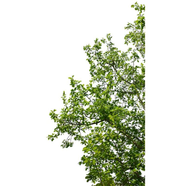 無料データ – ページ 3 – sozaiya.com