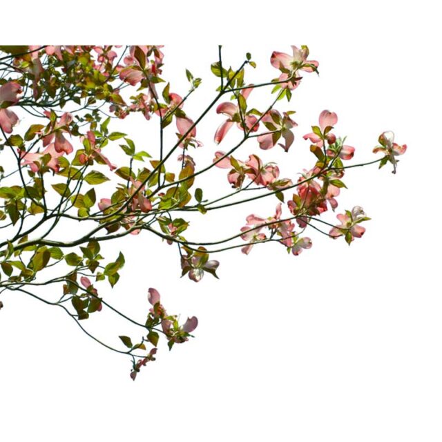 無料データ – ページ 3 – sozaiya.com