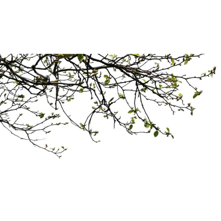 無料データ – ページ 3 – sozaiya.com