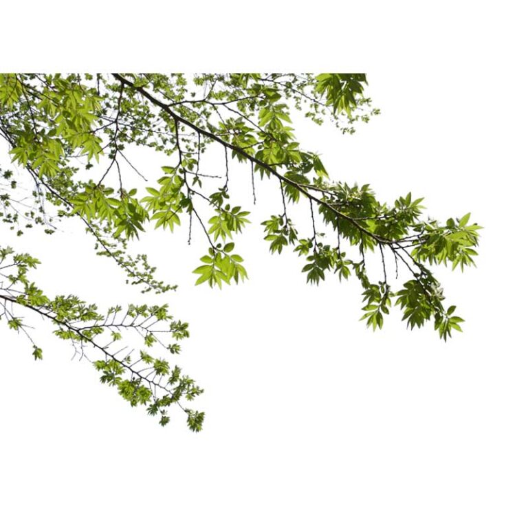 無料データ – ページ 3 – sozaiya.com