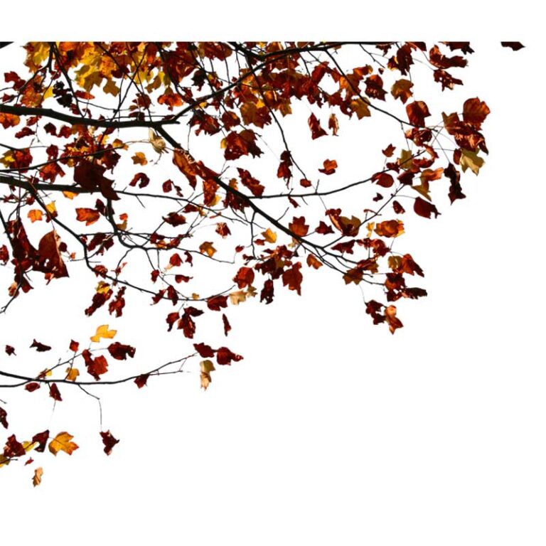 無料データ – ページ 3 – sozaiya.com