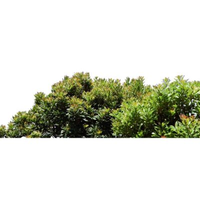 JZ_062 – sozaiya.com