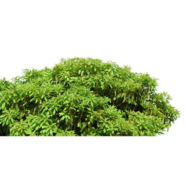 JZ_070 – sozaiya.com