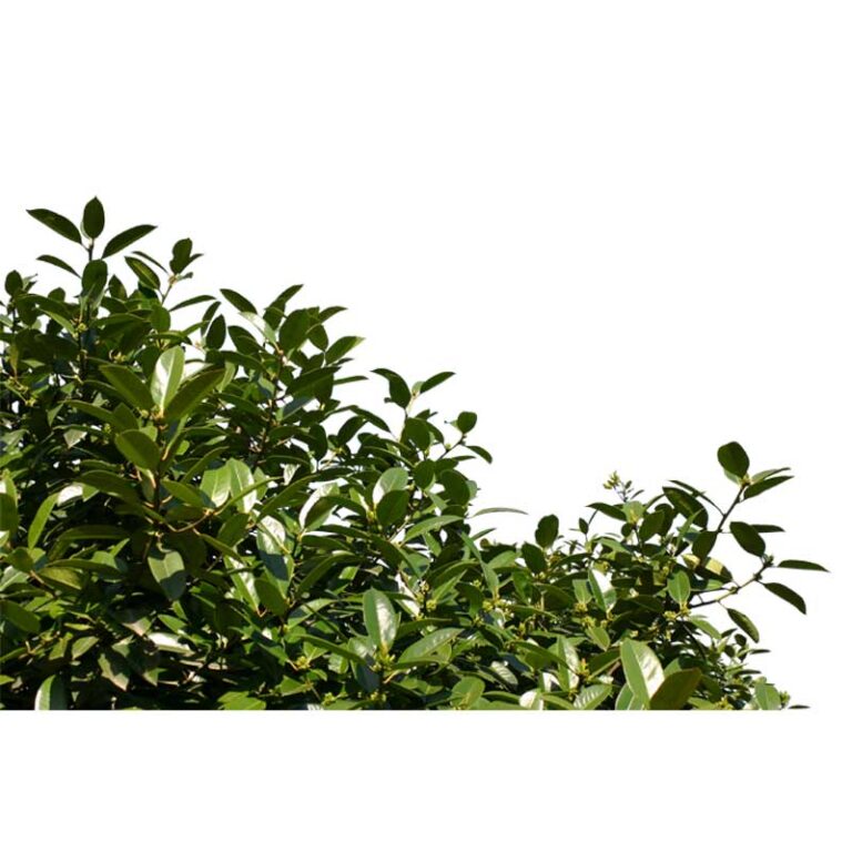 JZ_072 – sozaiya.com