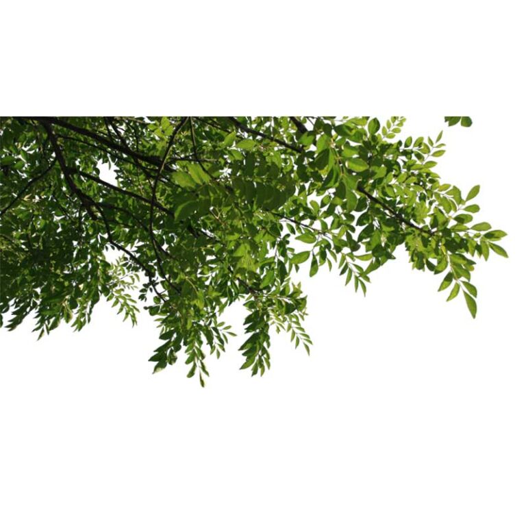 JZ_082 – sozaiya.com