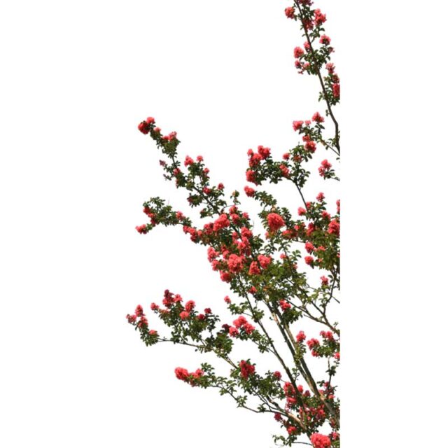 JZ_092 – sozaiya.com