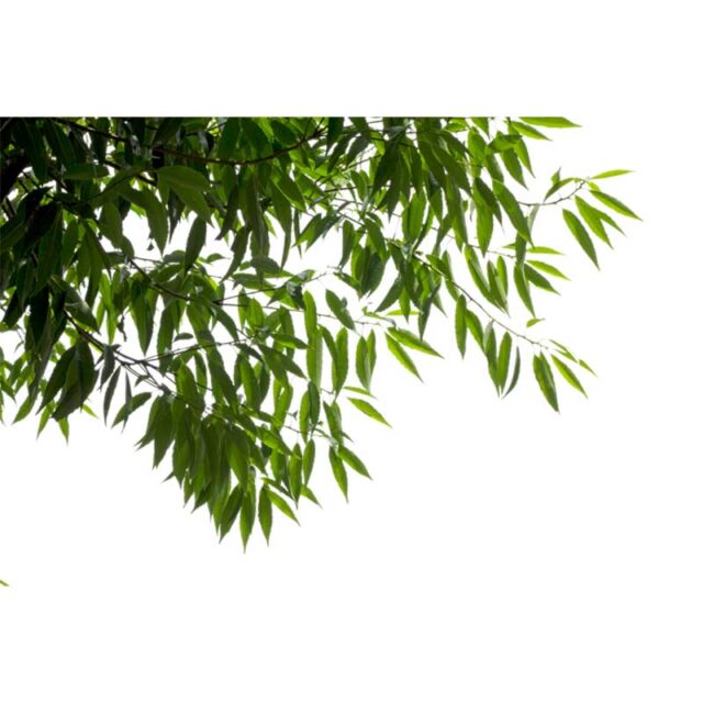 JZ_128 – sozaiya.com