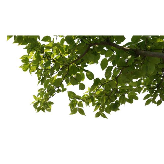 無料データ – ページ 4 – sozaiya.com