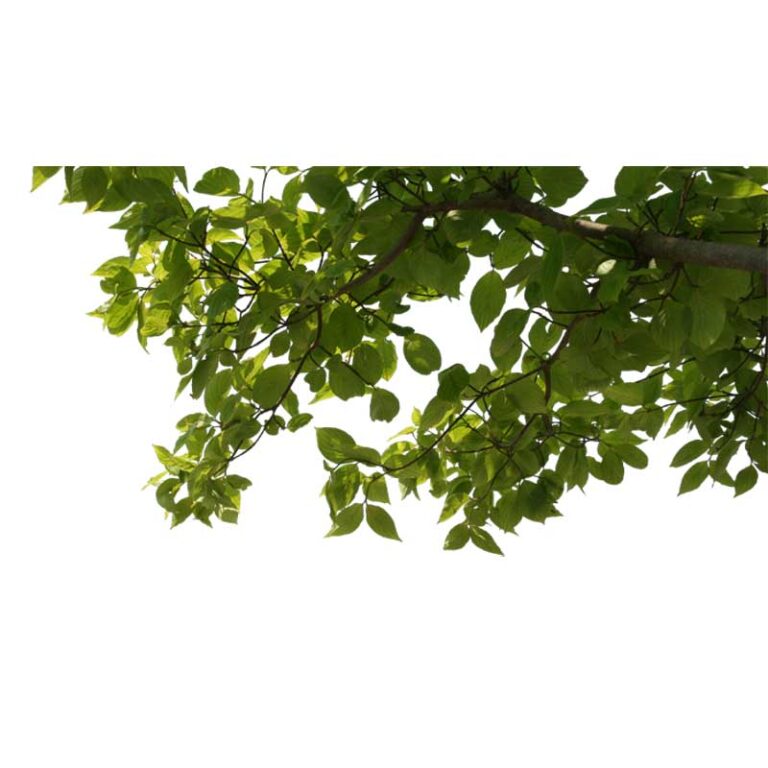 無料データ – ページ 4 – sozaiya.com