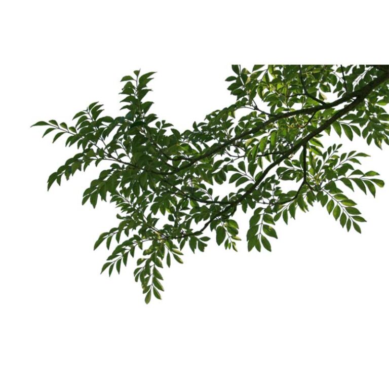 無料データ – ページ 4 – sozaiya.com