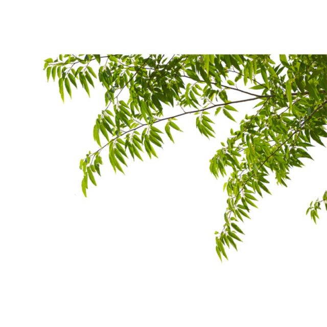 無料データ – ページ 4 – sozaiya.com