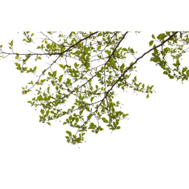 無料データ – ページ 4 – sozaiya.com