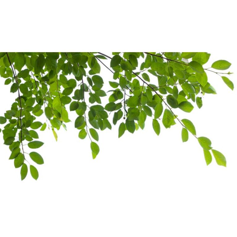 JZ_152 – sozaiya.com