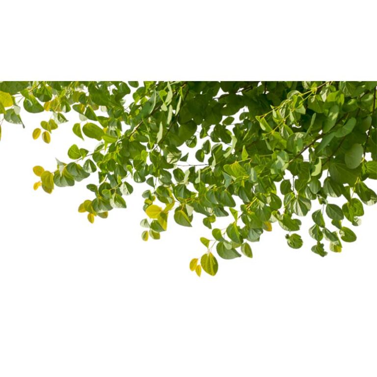 無料データ – ページ 4 – sozaiya.com