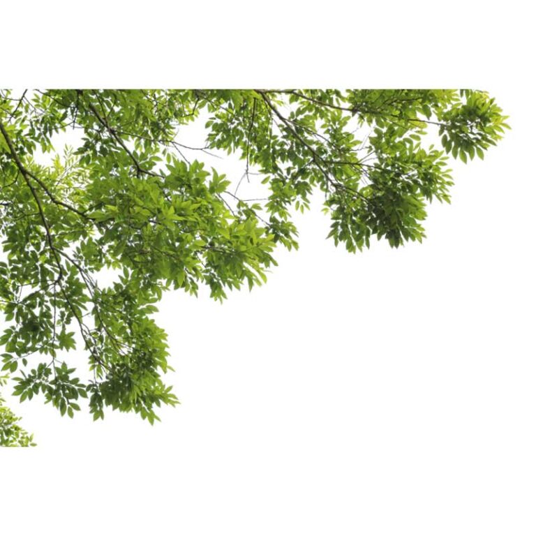 無料データ – ページ 4 – sozaiya.com