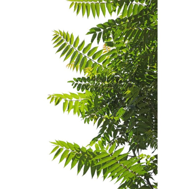 無料データ – ページ 4 – sozaiya.com