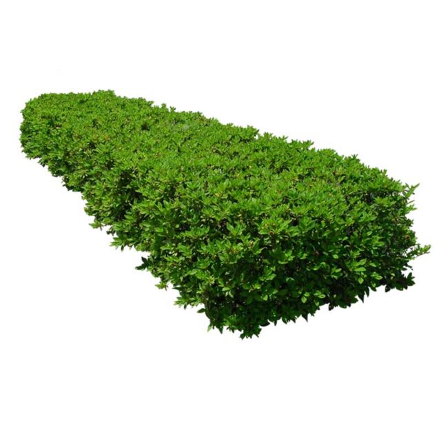 無料データ – ページ 5 – sozaiya.com