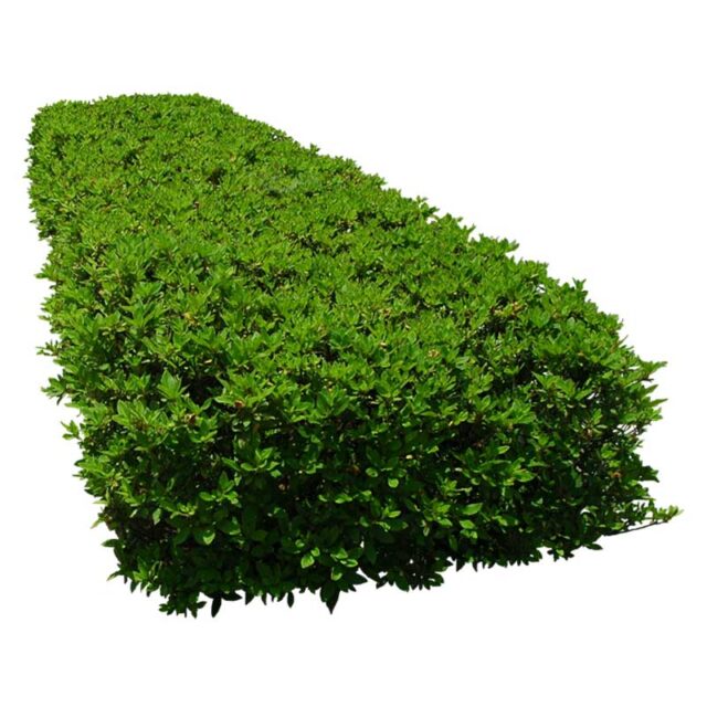 無料データ – ページ 5 – sozaiya.com