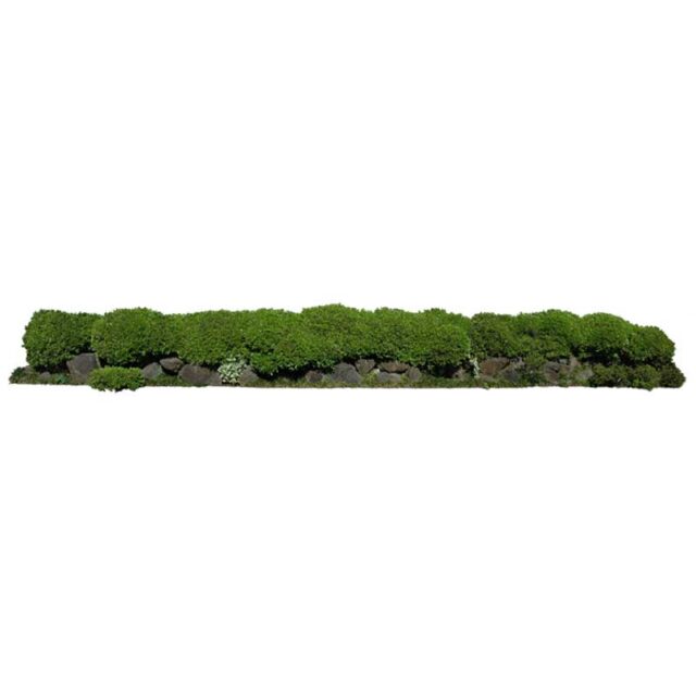 shrub_clippings_L1008 – sozaiya.com