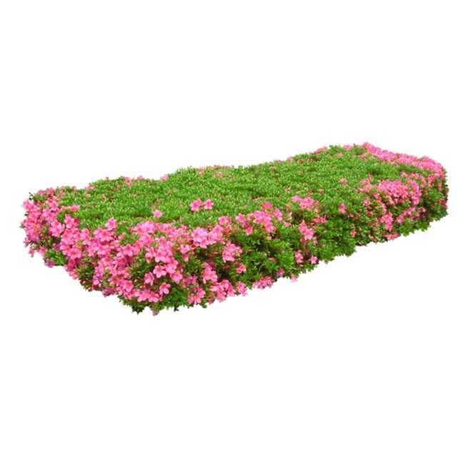 無料データ – ページ 5 – sozaiya.com