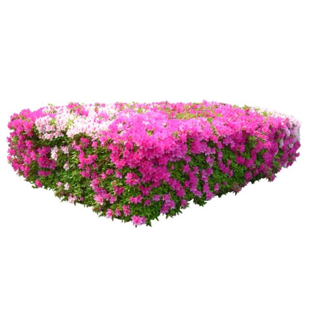 無料データ – ページ 5 – sozaiya.com