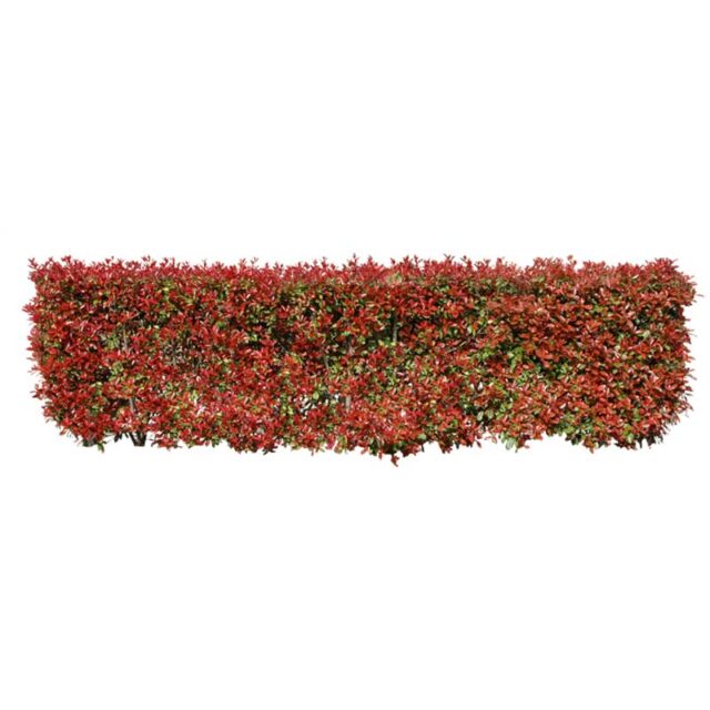 無料データ – ページ 5 – sozaiya.com