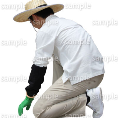 NO_22 – sozaiya.com