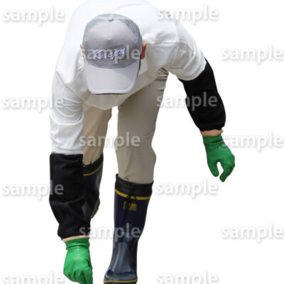 NO_33 – sozaiya.com