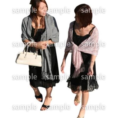 N_113 – sozaiya.com