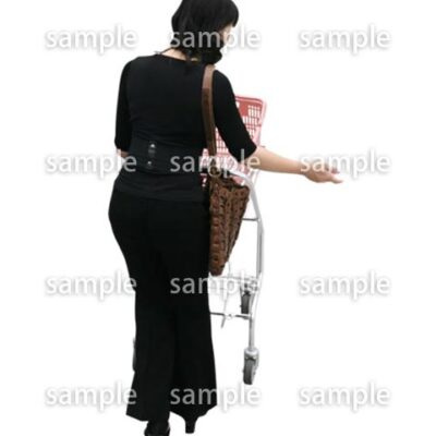 N_313 – sozaiya.com