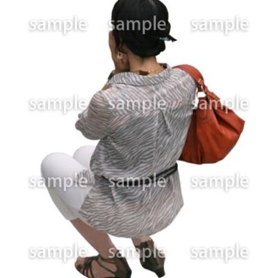 N_498 – sozaiya.com