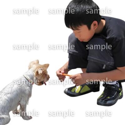 O_297 – sozaiya.com